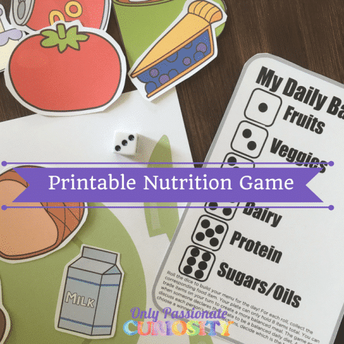 Food Groups Game - Only Passionate Curiosity