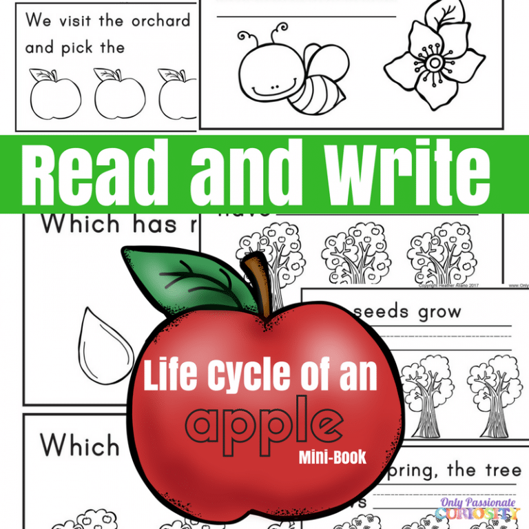 Apple Life Cycle Mini-Book - Only Passionate Curiosity