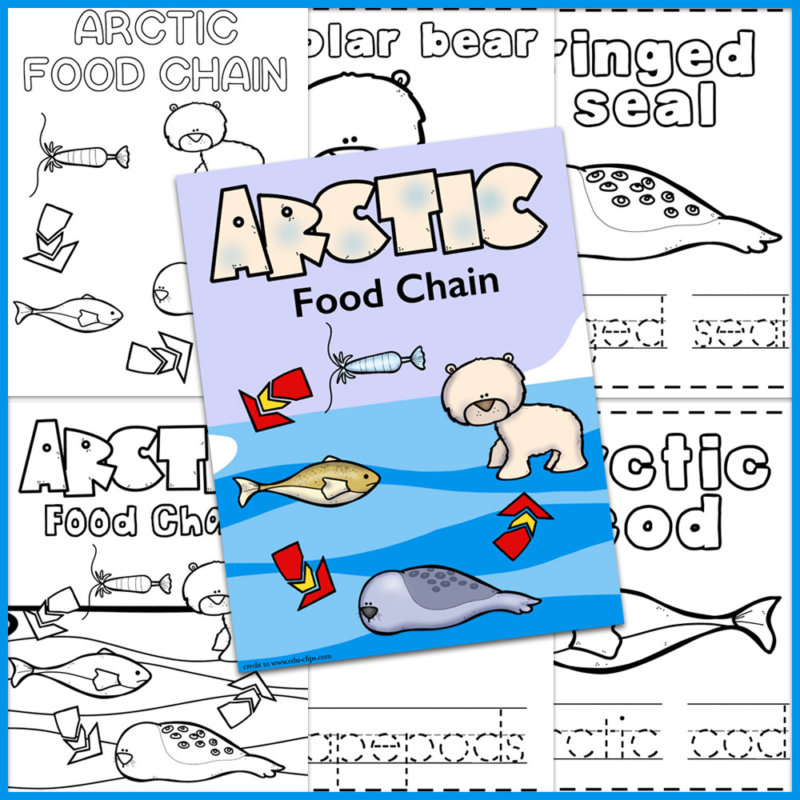 Arctic Food Chain Coloring Book - Only Passionate Curiosity