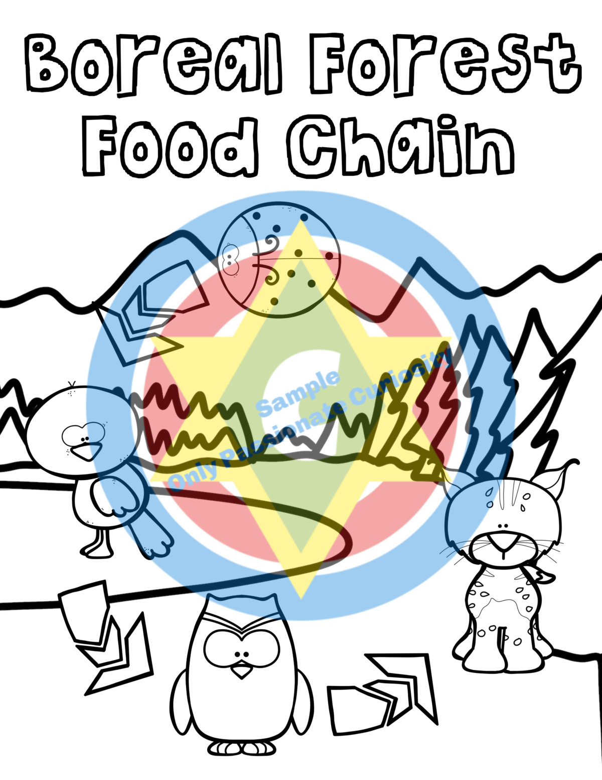 Boreal Forest Food Chain Coloring Book - Only Passionate Curiosity