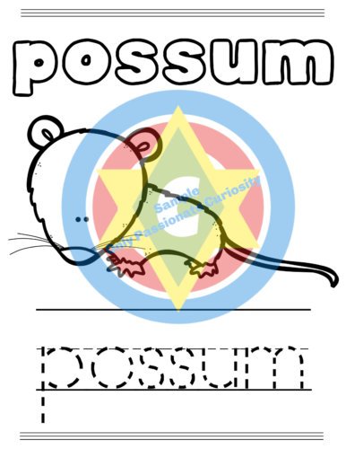 Australian Food Chain Coloring Book - Only Passionate Curiosity