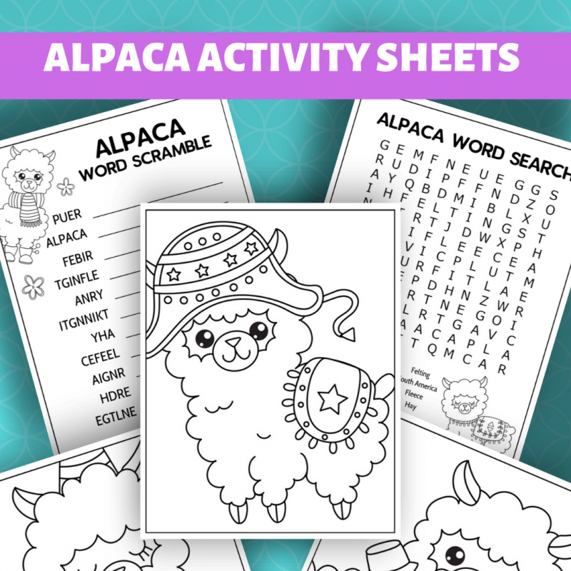 Adorable Alpaca Themed Activity Pack - Only Passionate Curiosity